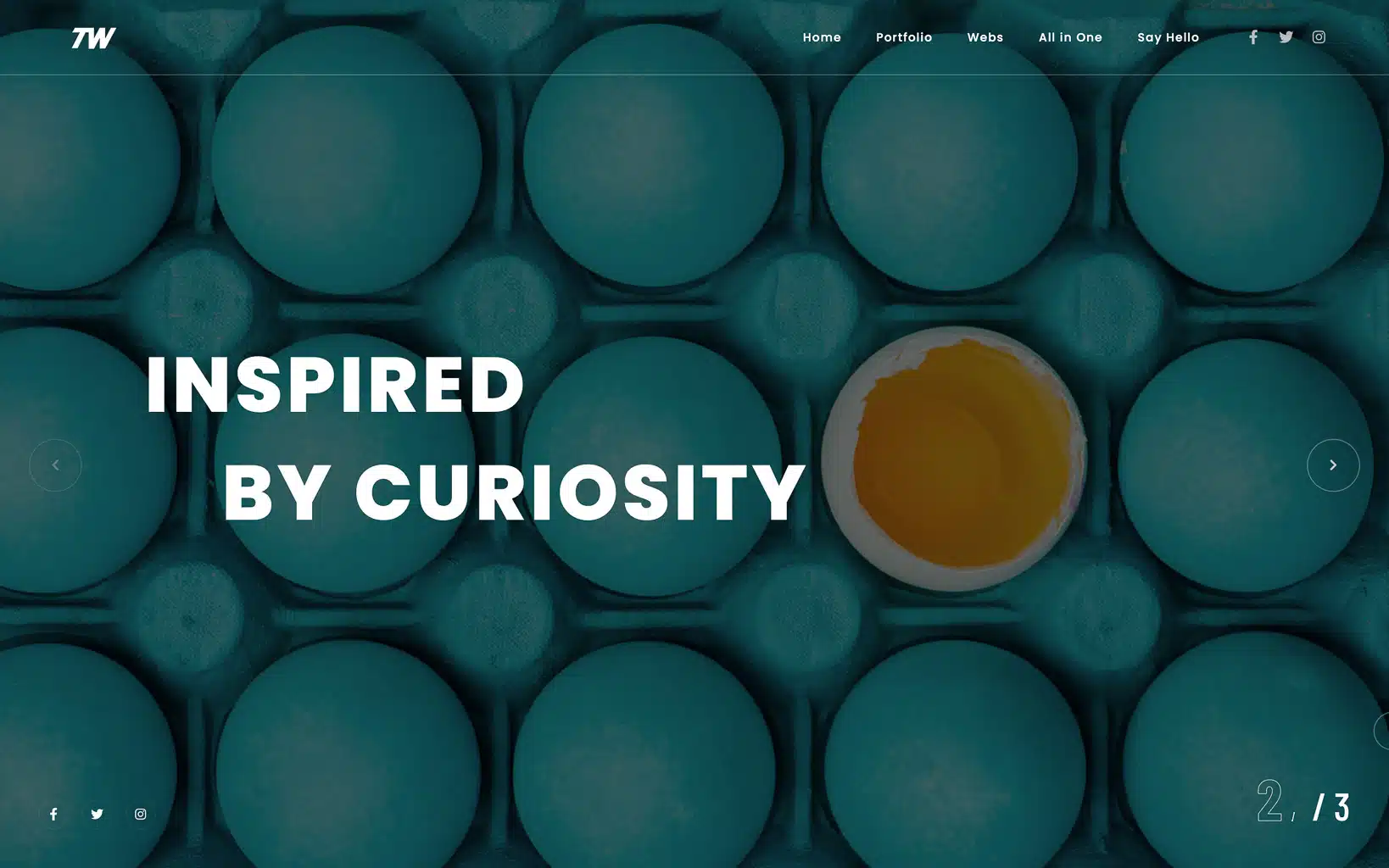 Website Design and Development – Tyche Technologies